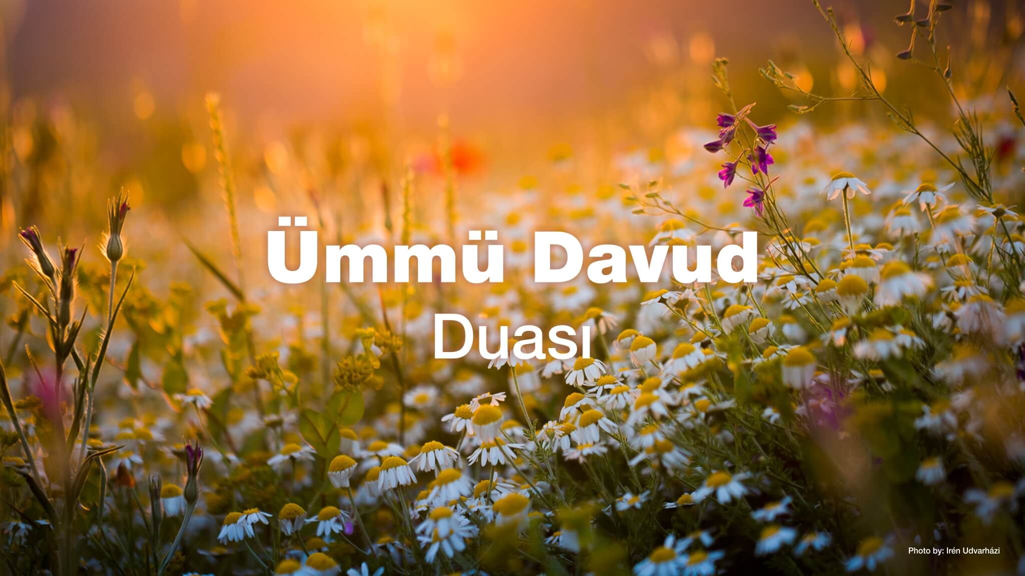 Ümmü Davud duası - https://weislam.az